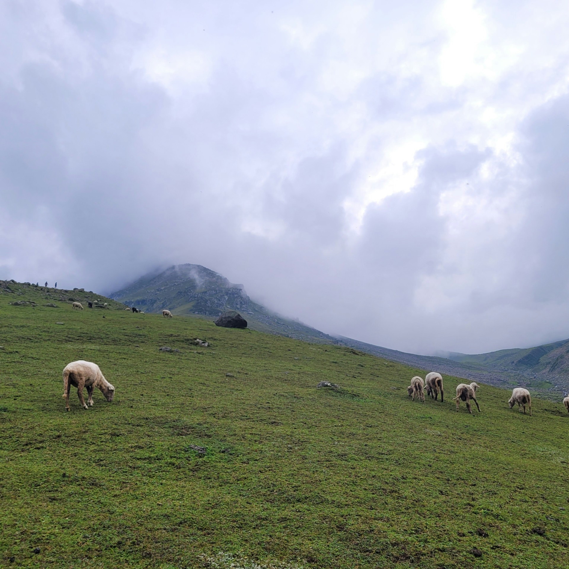 WildSnow Adventure Collective | Tours, Gulmarg Ski Resort